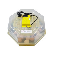 Líheň na vejce CLEO 5 T | Líhně-inkubátory.cz