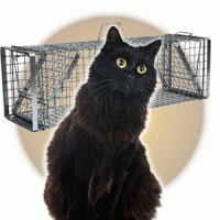 Sklopce na kočky | Líhně-inkubátory.cz